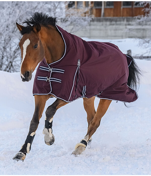 High Neck Turnout Rug Kalina II, 0g - Kramer Equestrian